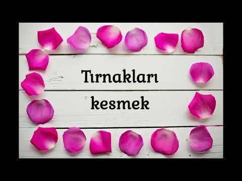 Hayırlı cumalar kısa mesaj - En güzel cuma mesajları - En yeni cuma videoaları