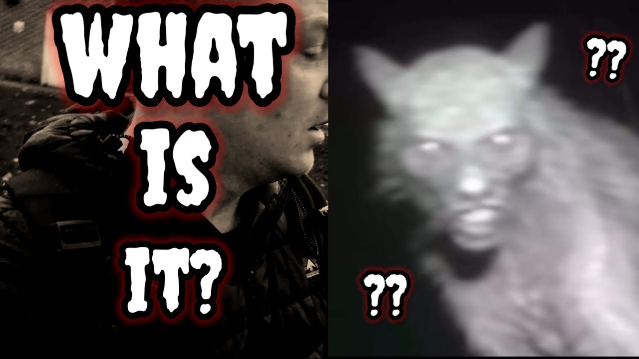 Mysterious Cryptid Caught On Camera in The UK? - YouTube