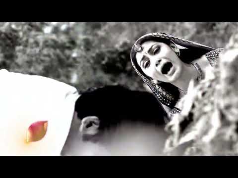 Balika Vadhu | Mon-Fri 9:30PM ET/9:30PM PT | Colors Rishtey
