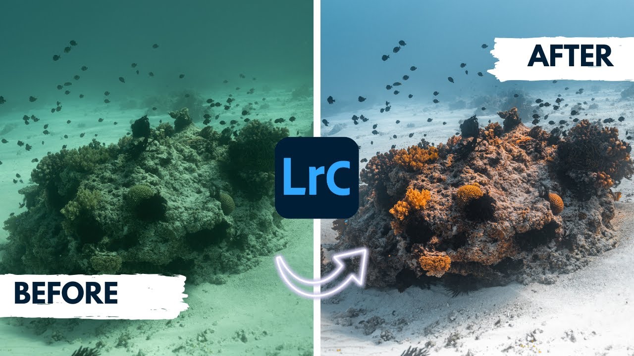 Lightroom Underwater Photo Editing: Color Correction & Enhancement ...