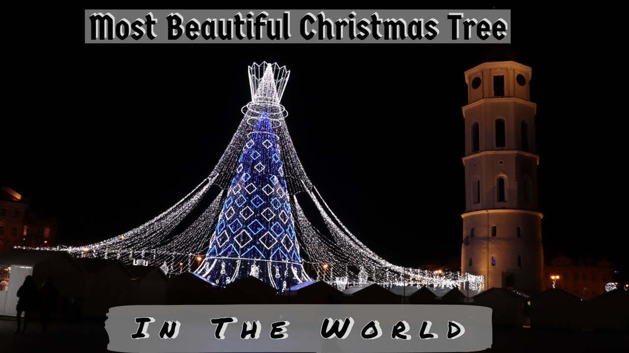 Most Beautiful Christmas Tree in The World - YouTube