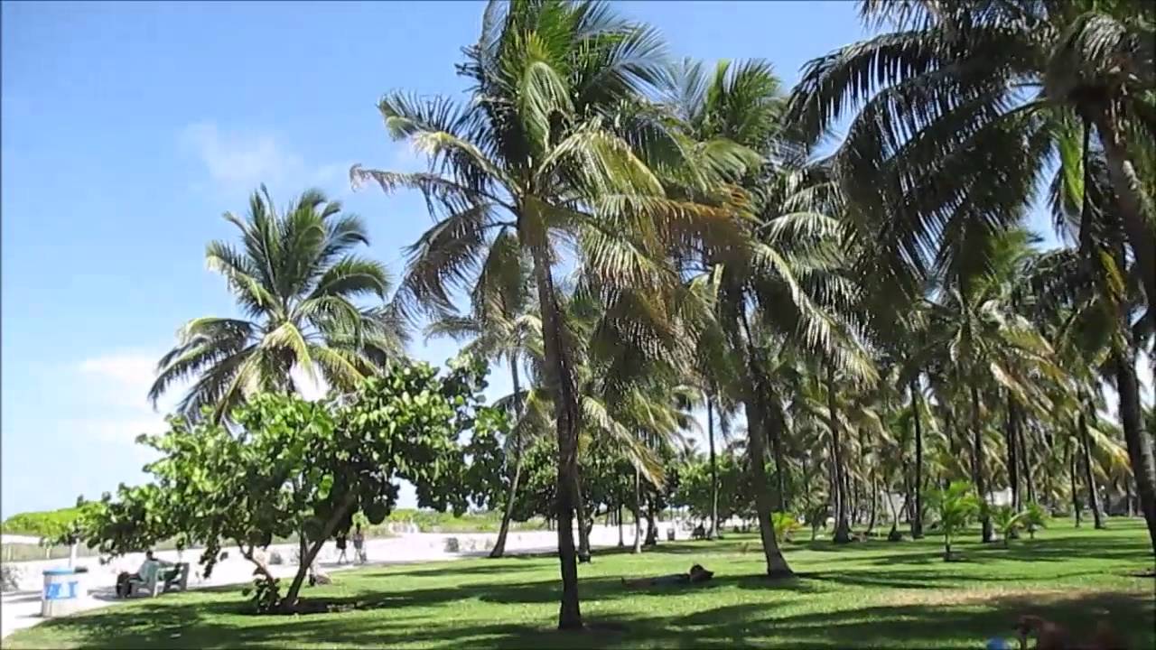 Vlog | Miami beach 2015 - YouTube