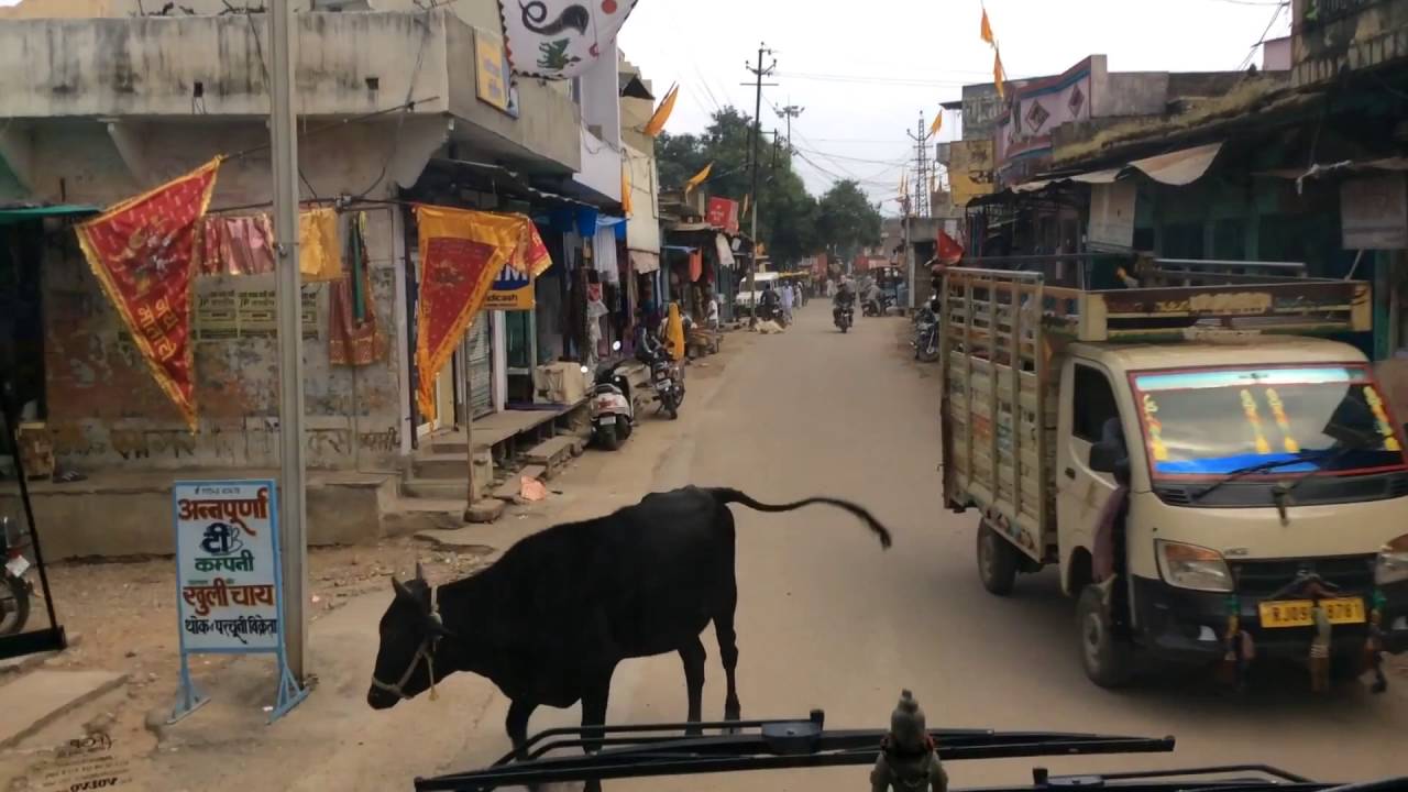 Visite dans un petit village de l'Inde du nord ,octobre 2016. Quel beau ...