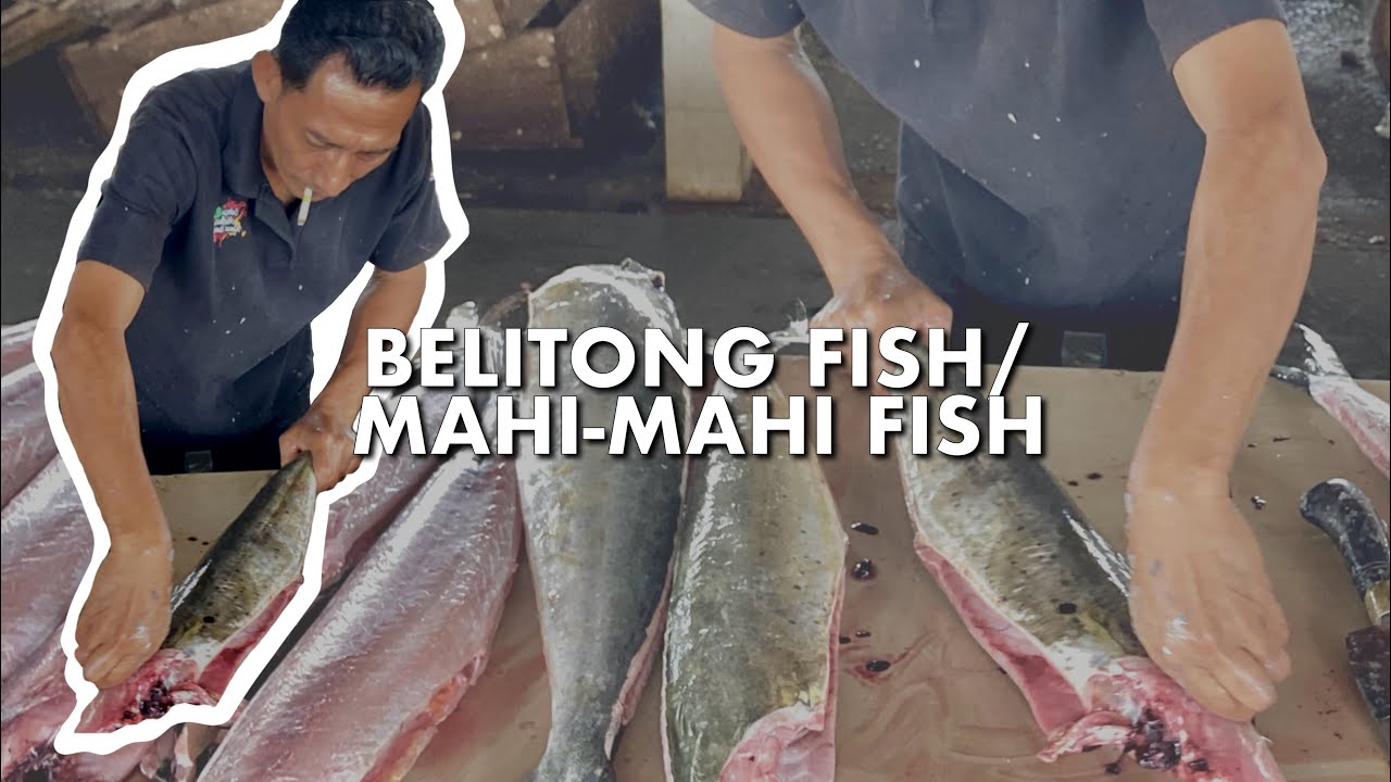 THE FRESHEST FISH MARKET IN SUMATRA || BELITONG FISH || CUTTING SKILL ...