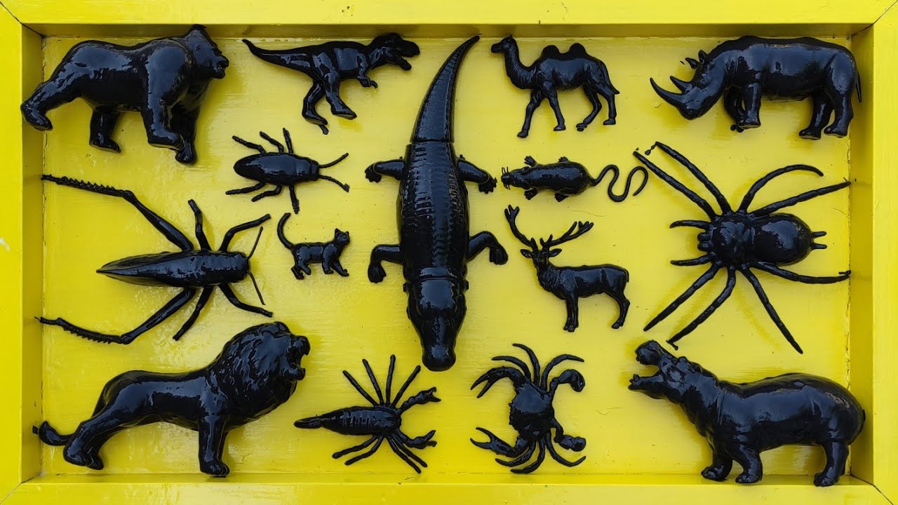 Membersihkan Mainan Hewan Berlumpur, Buaya, Gajah, Singa, Ayam, Bebek ...