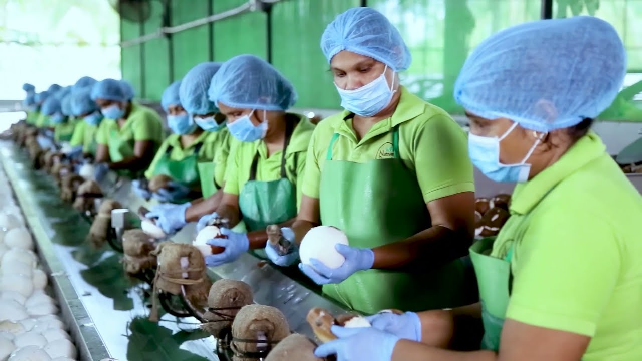 Navik Mills - YouTube