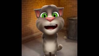 Me and Talking Tom Cat: Went Through A Funny Mirror