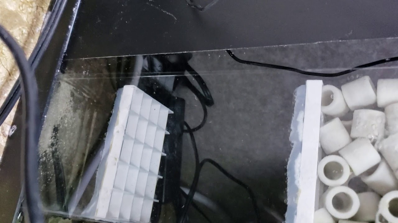 Custom Biocube 32 Filtration - YouTube