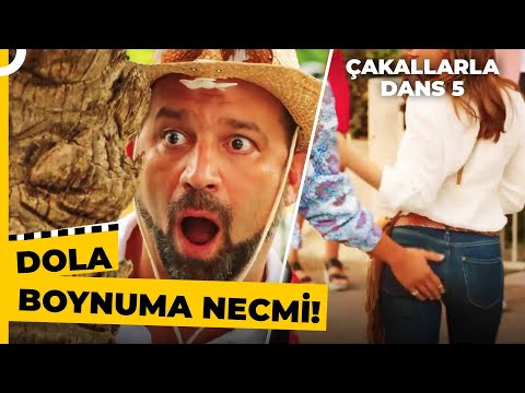 Günahı Boynuna Gökhan | Çakallarla Dans 5