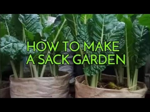 How to make sack gardens - YouTube