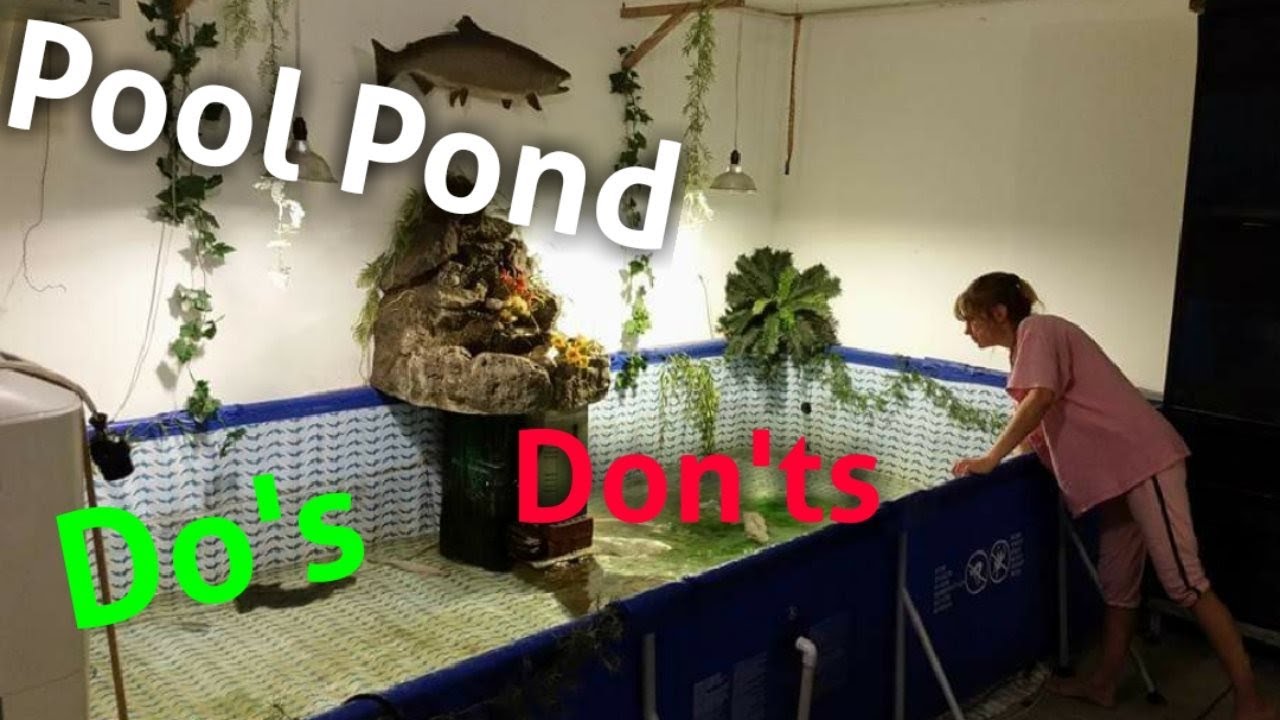 Pool Pond: Do's and Don'ts from ohio fish rescue - YouTube
