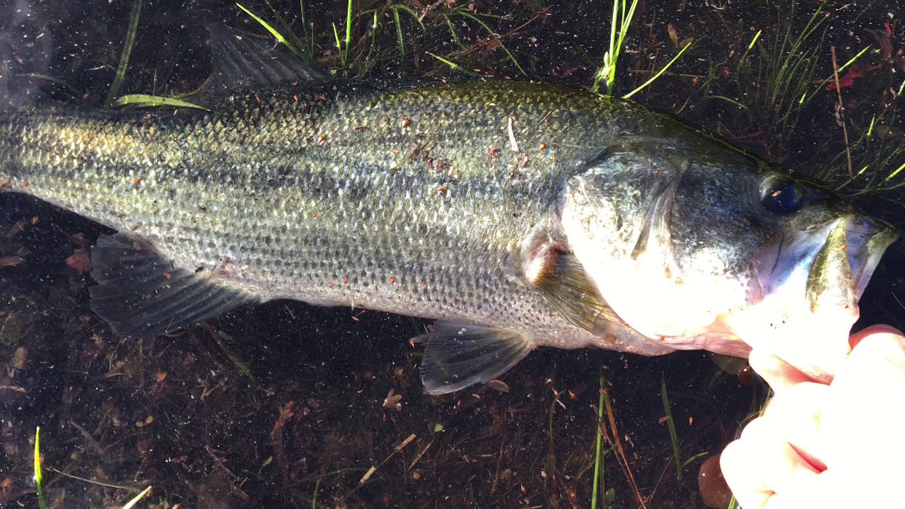 fishing with ayden - YouTube