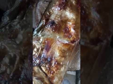 Kalabo/Oregano - YouTube