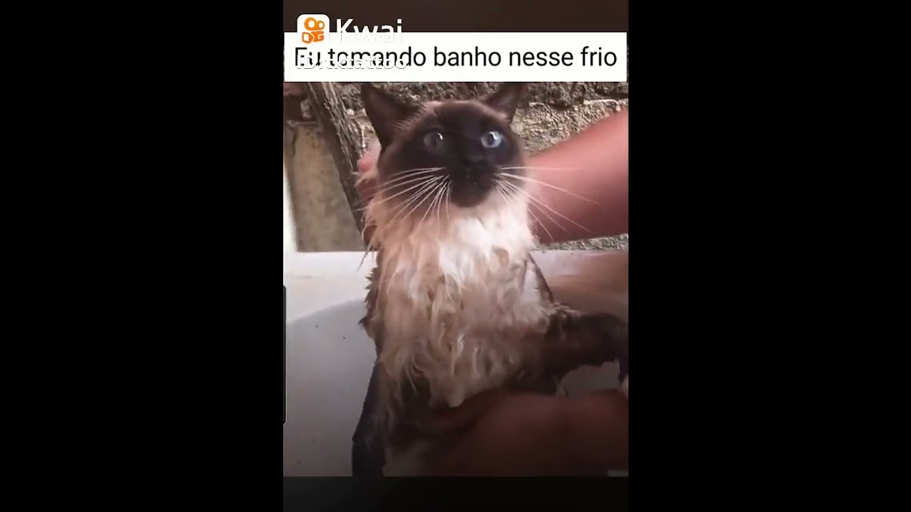 Eu Tomando Banho Nesse Frio Youtube