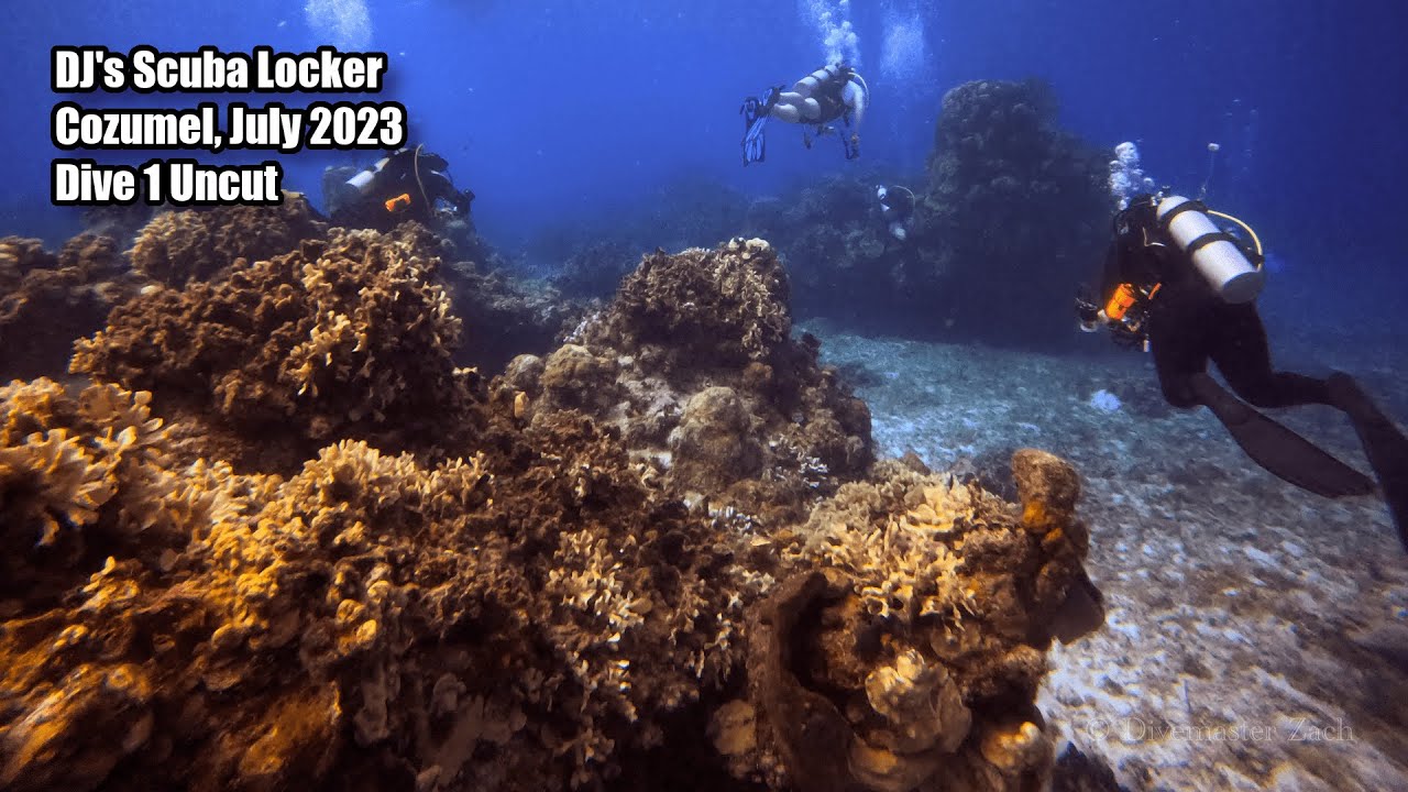 DJ's Scuba Locker Inc. Cozumel July 2023 Dive 1 Uncut - YouTube