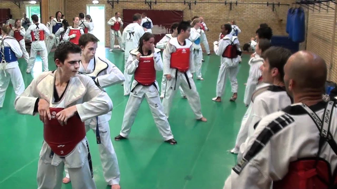 Taekwondo Master Dang Dinh Ky Tu & Henk Meijer in Netherlands_2011-6-13 ...