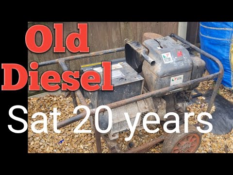 Old Lister diesel generator. Will it Starr after 20 years. - YouTube