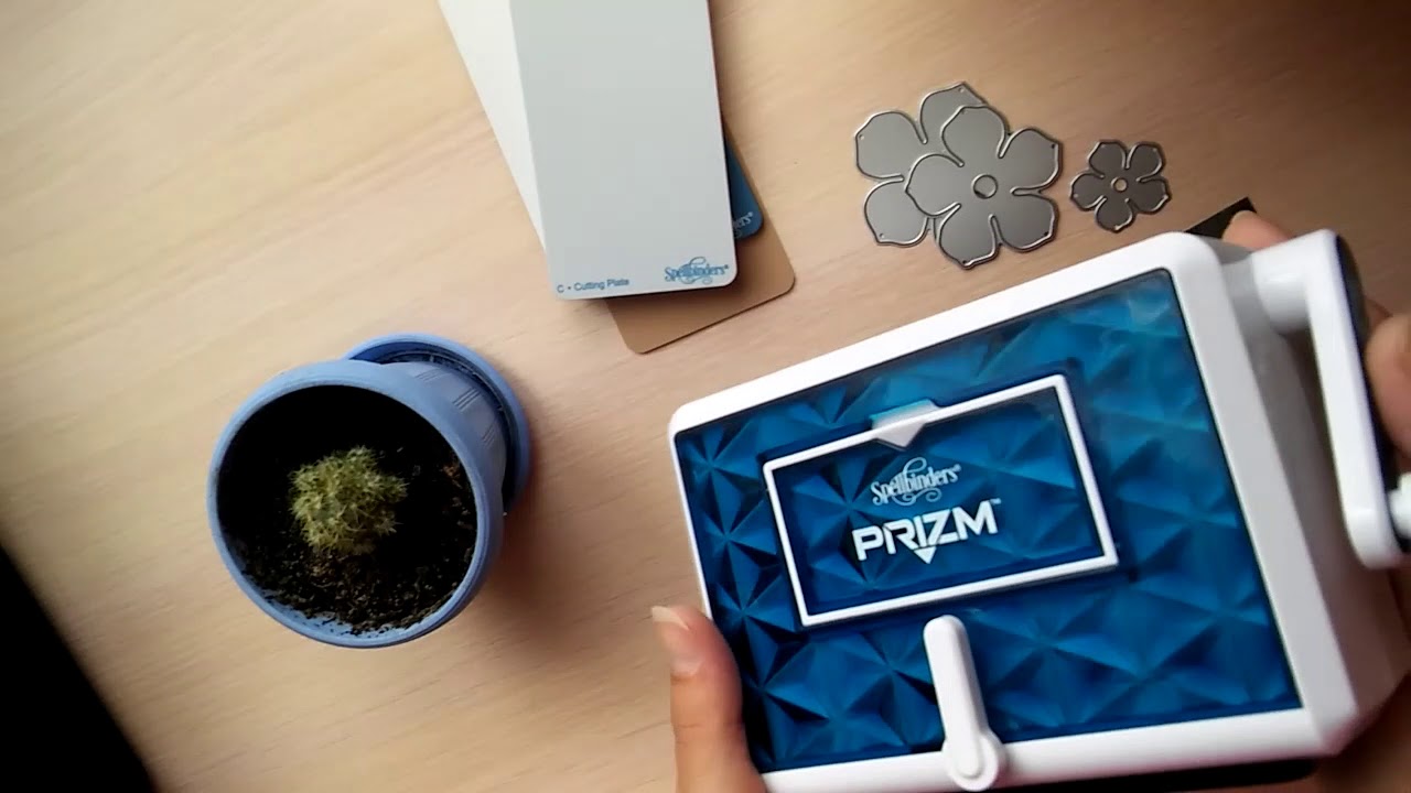 Машинка для вырубки spellbinders PRIZM - YouTube