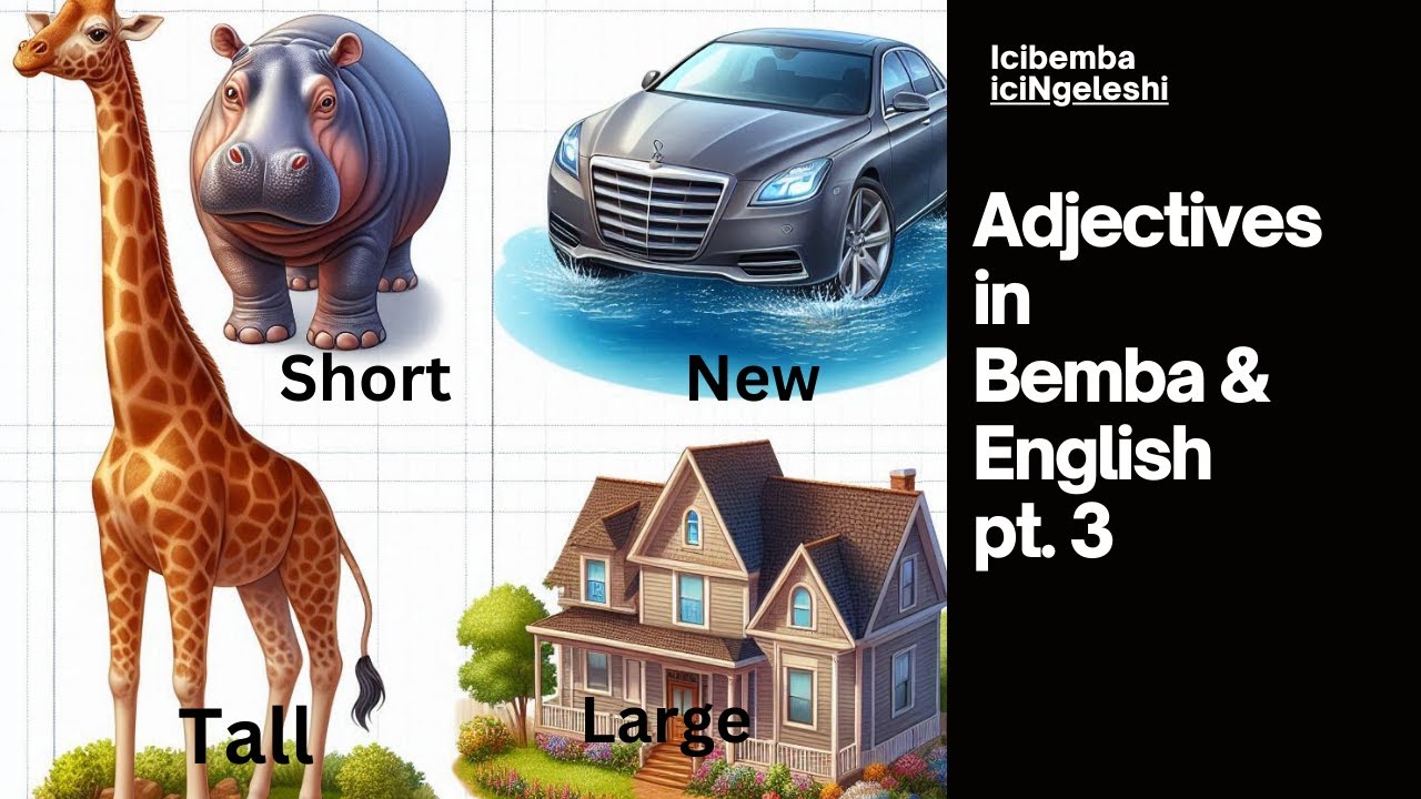 Adjectives in Bemba| English Part 3 🇿🇲 - YouTube