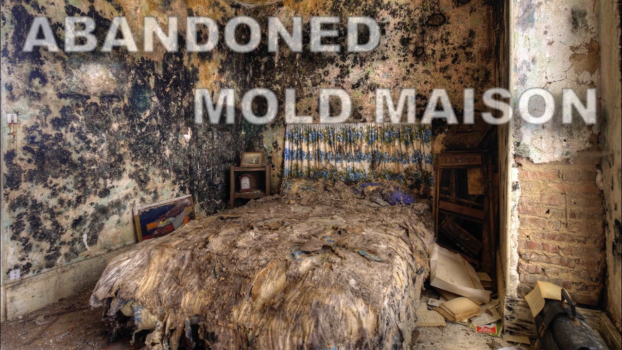 Abandoned Mold Maison - YouTube