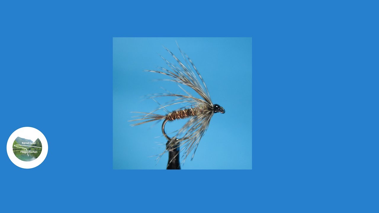 Endrick - Spider in einer Variante (Softhechel Nassfliege)! - YouTube