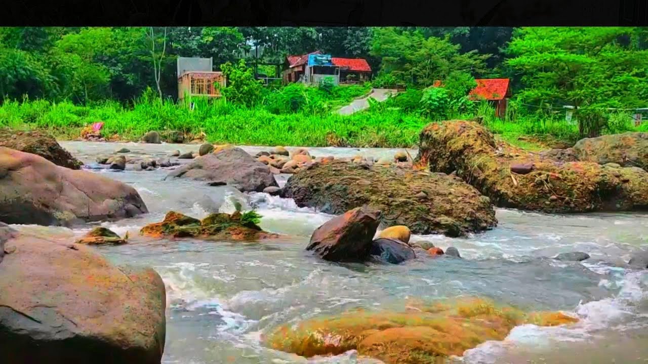 🔴Peaceful River Water Sounds and Beautiful Relaxing Piano for sleep and ...