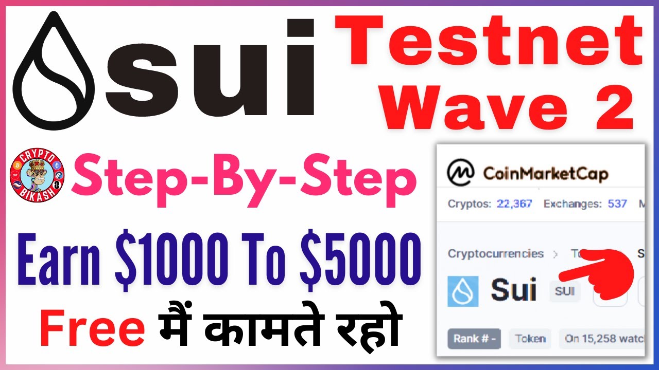 Sui Testnet Wave 2 | How to Join Sui Testnet 2 Step-by-Step Guide - YouTube