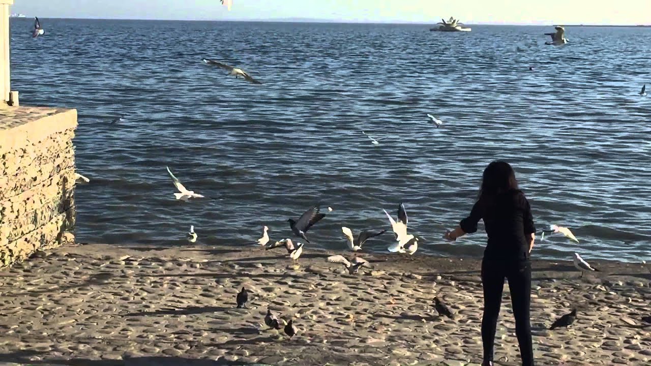 Xezer Denizi🐚 - YouTube