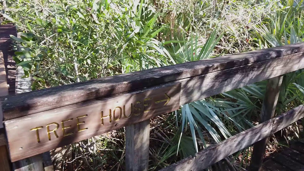 A Walk in Turkey Creek Sanctuary - YouTube