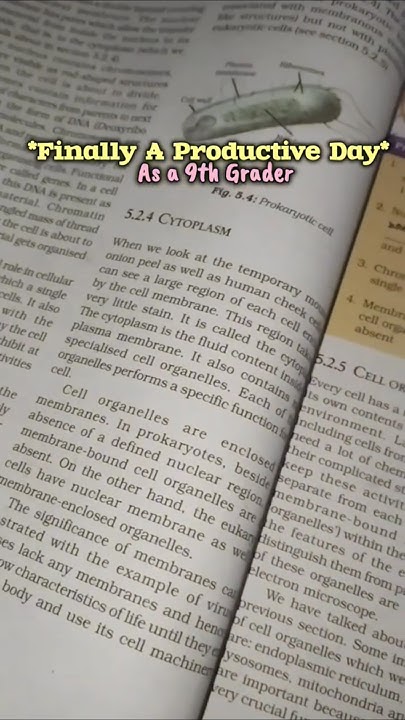 *A Productive Day In My Life*📚🍀|| Cbse 9th Grader - YouTube