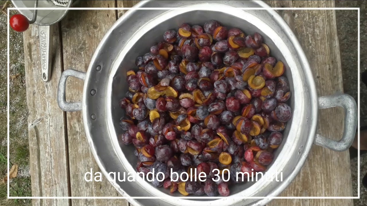 ricetta come fare una marmellata di Ramasin - YouTube