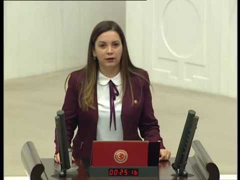 MHP İSTANBUL MİLLETVEKİLİ ARZU ERDEM'İN MİLLETVEKİLLİĞİ YEMİNİ