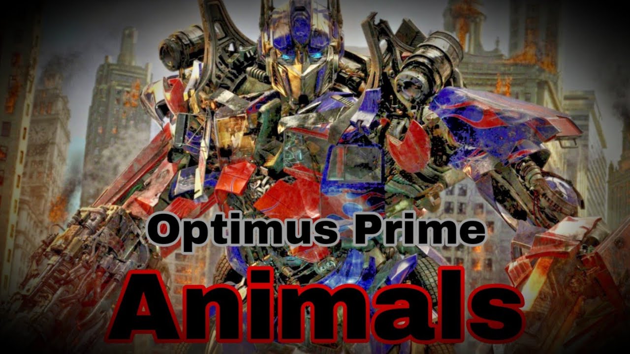Animals l Optimus Prime - YouTube