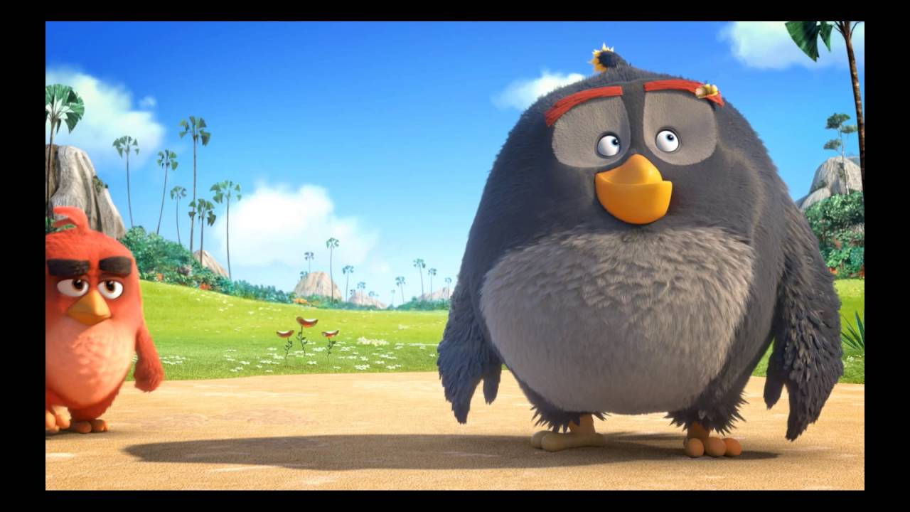 Angry Bird: Let's Fly Fun Together! - YouTube