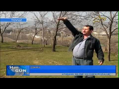 Cəbhə. Tovuz əlibəyli  dinc sakinlər özlərinə daldalanmaq ücün  səngər qurublar