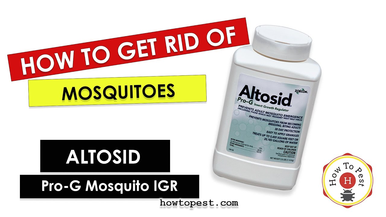 How To Get Rid of Mosquitoes - Altosid Pro-G Mosquito IGR - Zoecon - YouTube