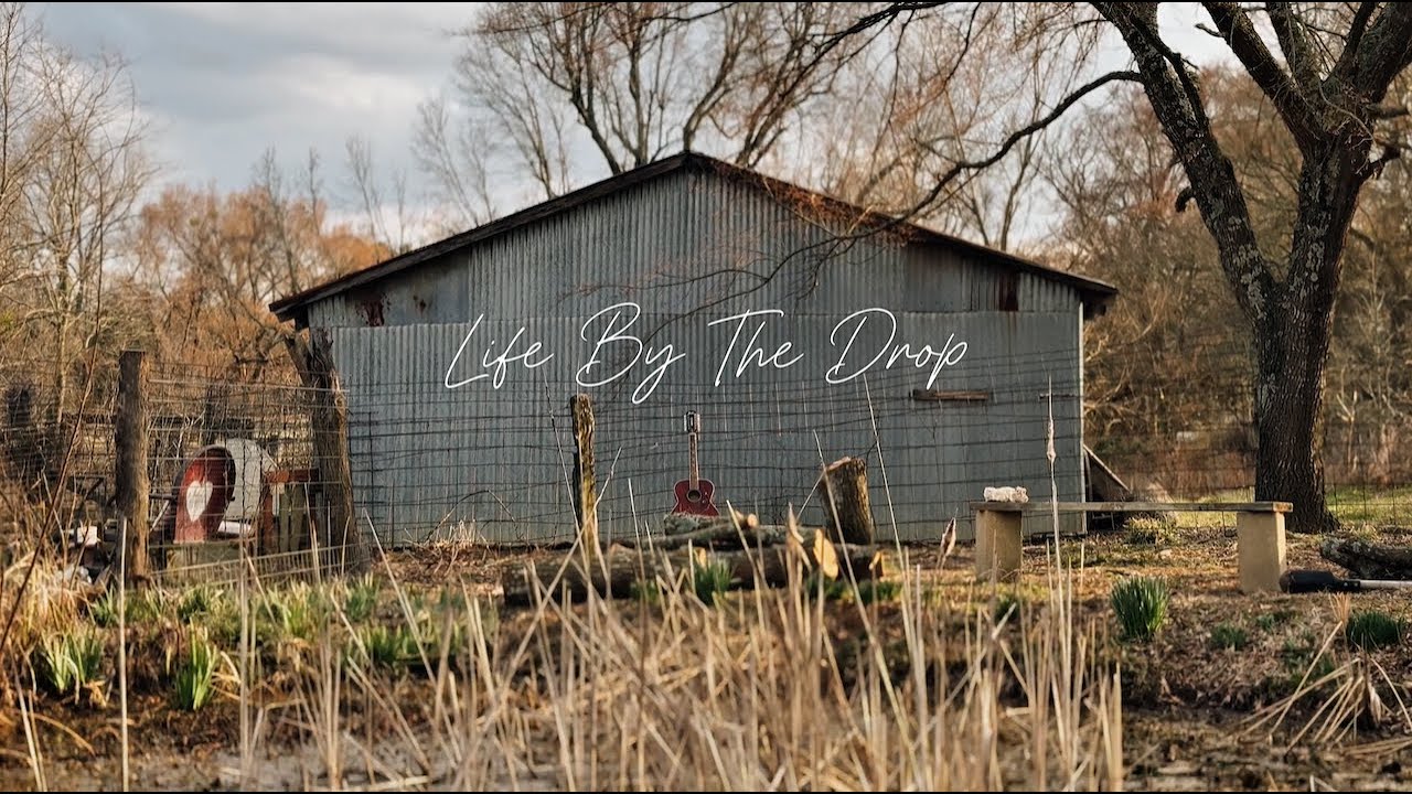 Cas Haley - Life By The Drop (Reggae Cover) w/ Mike Love & Tavana ...
