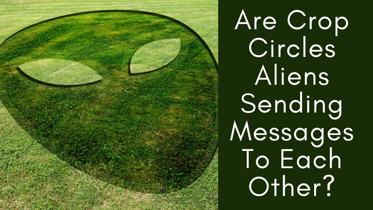 Are Crop Circles Aliens Sending Messages To Each Other? - YouTube