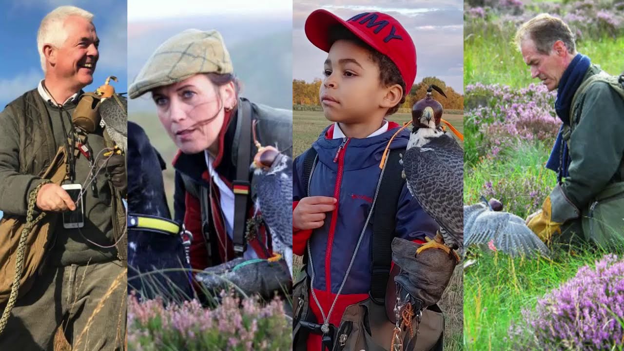 World Falconry Day 2020 - YouTube