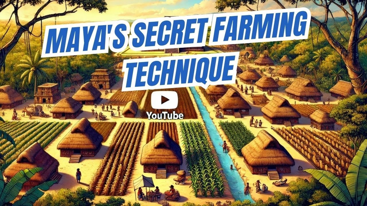 The Secret Farming Techniques Behind the Glorious Maya Empire - YouTube