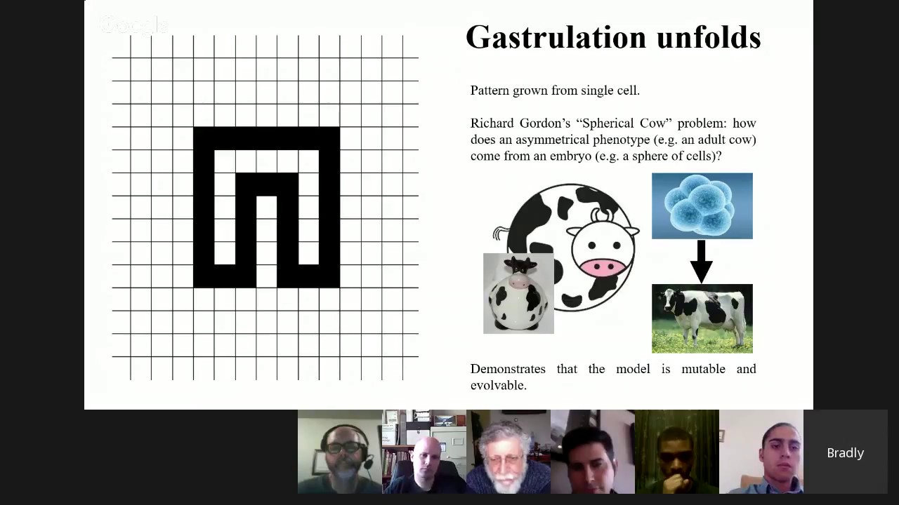 OpenWorm Journal Club: How A Worm Develops - YouTube