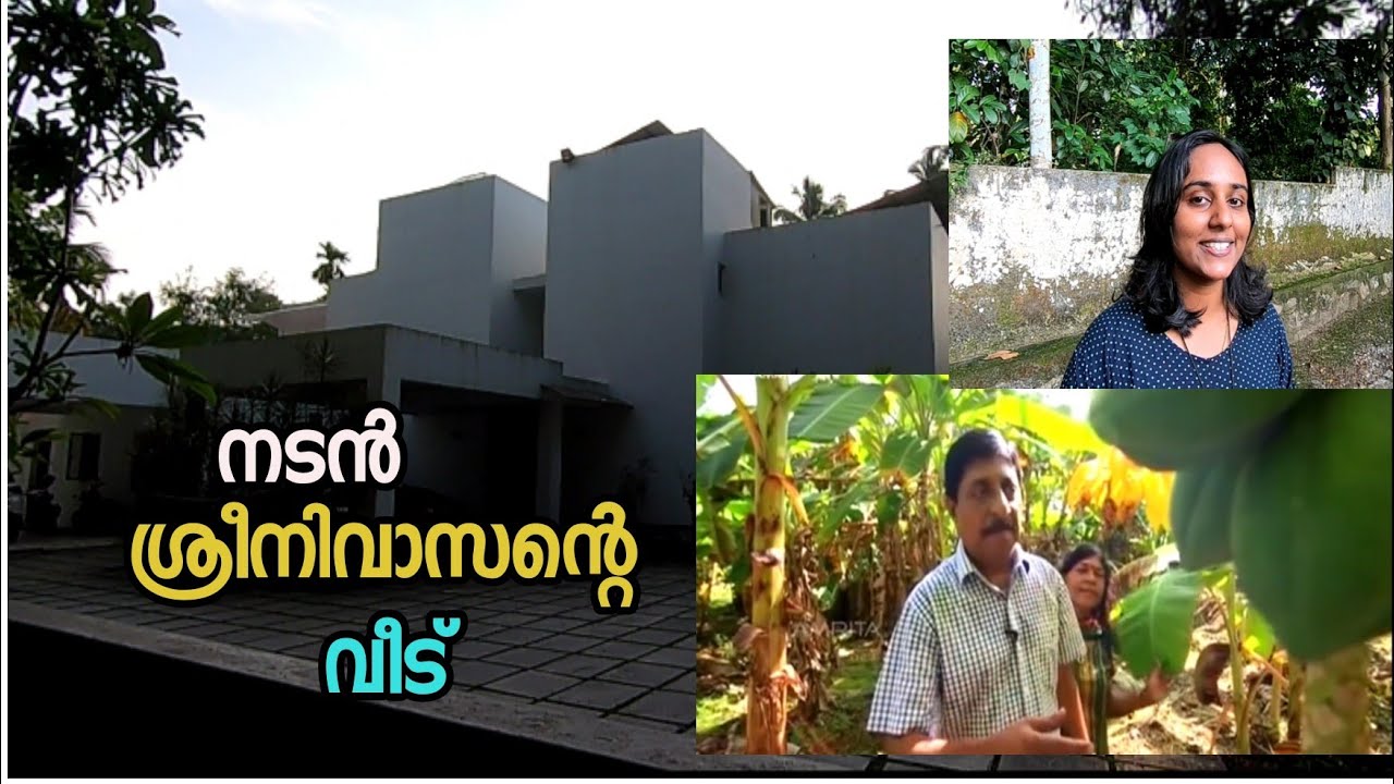 Actor Sreenivasan's house in Kochi || Vineeth Sreenivasan || Kochi ...