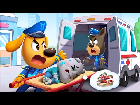 الطعام المتسخ - نقيب لابرادور | بيبي باص | BabyBus