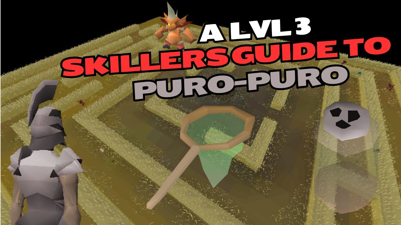 OSRS | Puro-Puro Quick Guide for a LVL 3 Skiller - YouTube