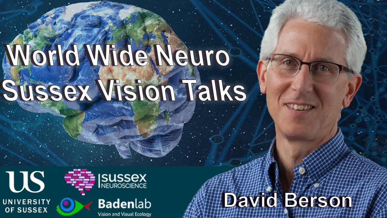 World Wide Neuro | Sussex Vision Series - 16/05/2022 - Prof. David ...