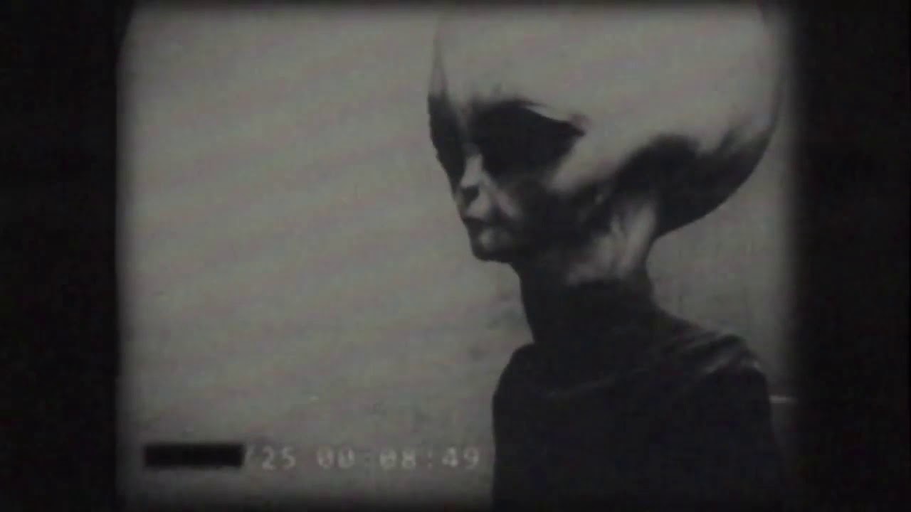 Skinny Bob - leaked Alien footage - YouTube