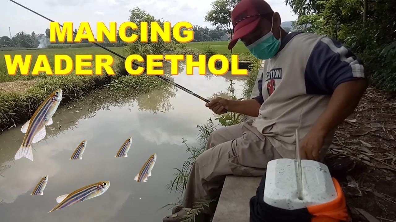 MANCING WADER - YouTube