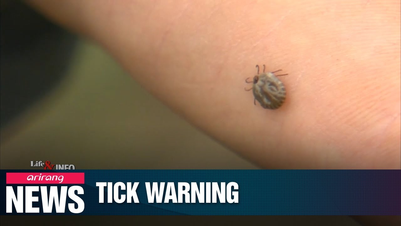 Health officials in S. Korea urge caution against tick as weather warms ...