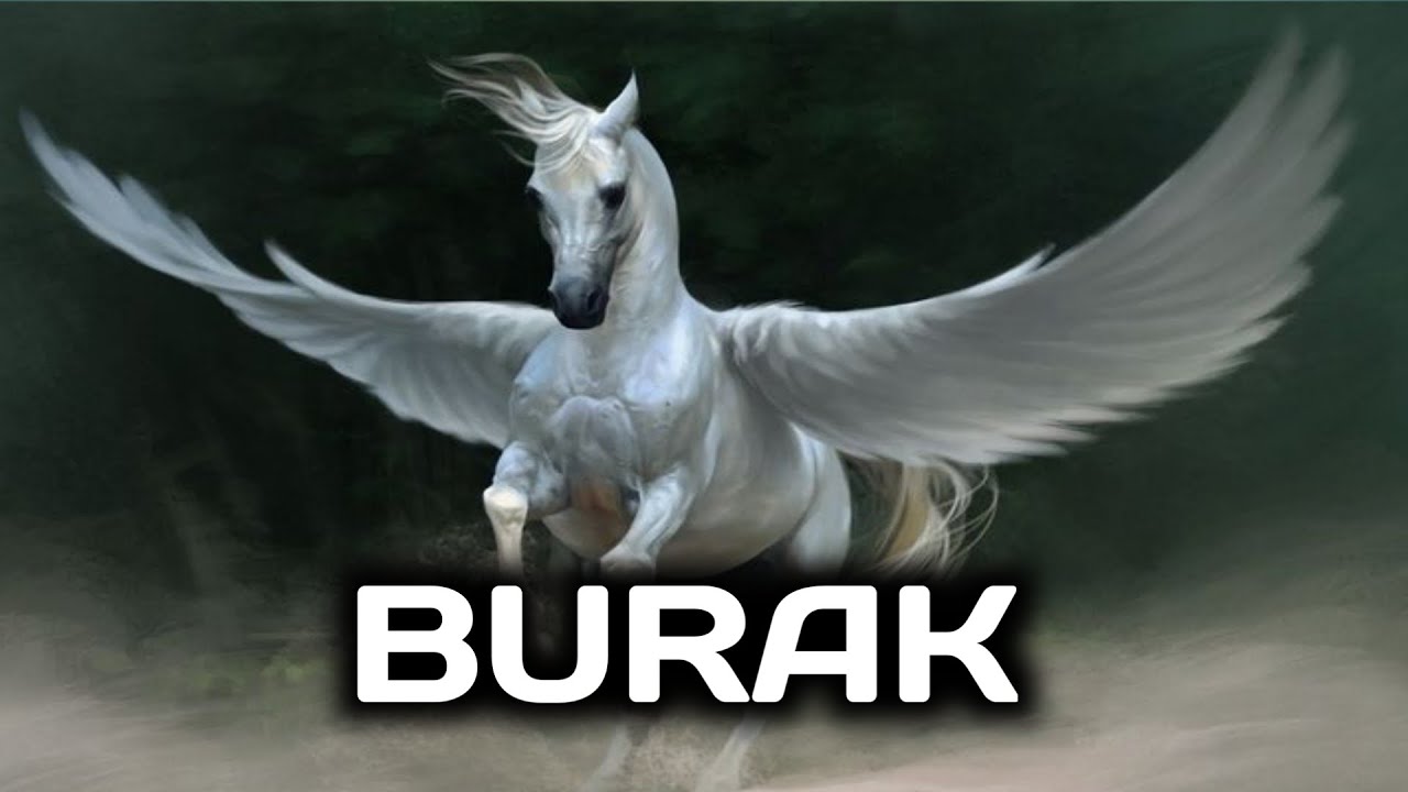 What Is BURAK Horse |Travel Miraj | World Attached - YouTube