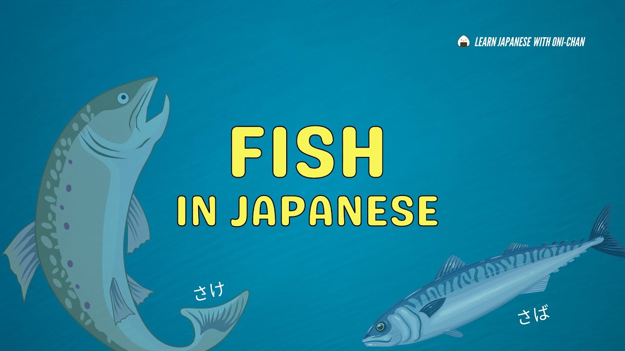 Learn Japanese Vocabulary ｜15 Fish Names in Japanese【魚】 - YouTube